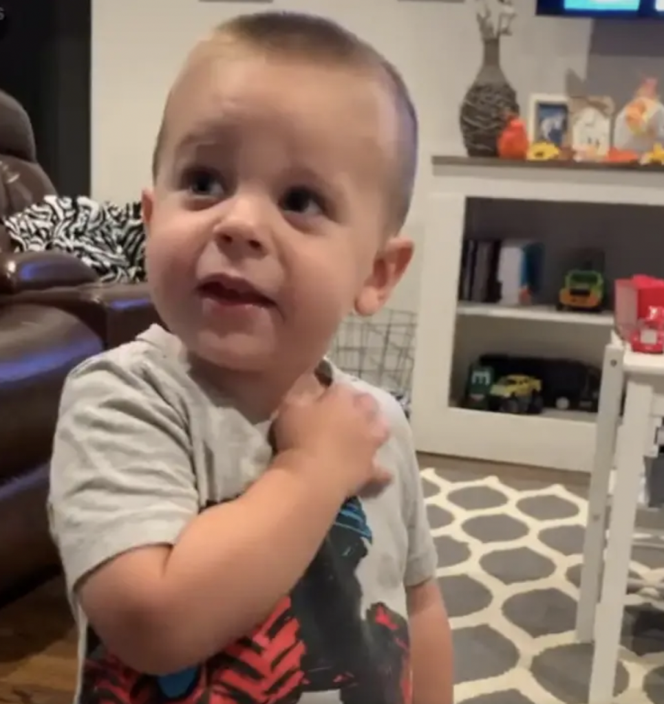 Toddler recites The Pledge of Allegiance, and it’s as cute as it is ...